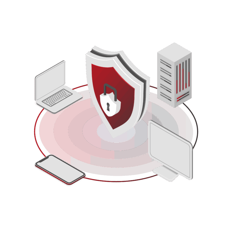 Local Area Network (LAN) Solution - Trust Systems